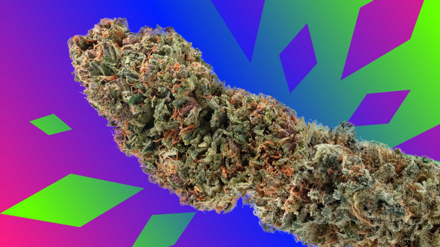 Cannabis Landrace Strains & Their Families · Neonjoint